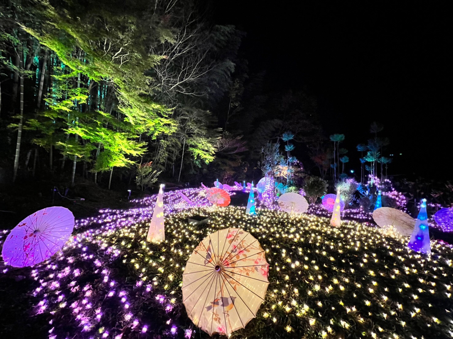 The Latest Illumination in Kyoto and Shiga (2021) - Leaf KYOTO