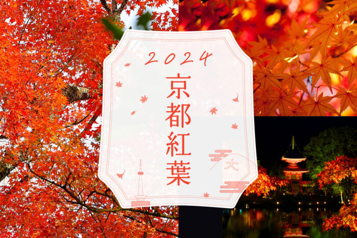 Leaf KYOTO | Kyoto Gourmet / Kyoto Sightseeing