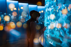 京都・木津川に[JUNOPARK（ジュノパーク）]誕生！親子で学び遊べる大型体験型施設に行ってみた | Leaf KYOTO